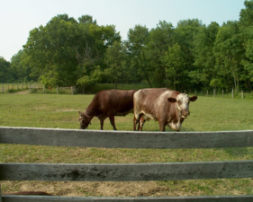 Slate Run Historical Farm – Ohio Exploration Society