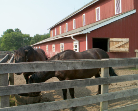 Slate Run Historical Farm – Ohio Exploration Society