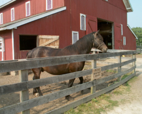 Slate Run Historical Farm – Ohio Exploration Society